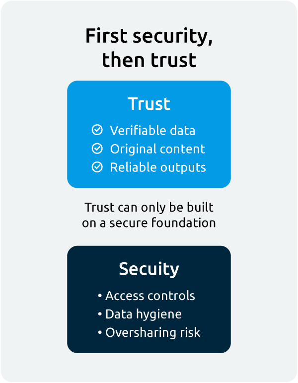AI Risk Management in Practice: From Security to Trust